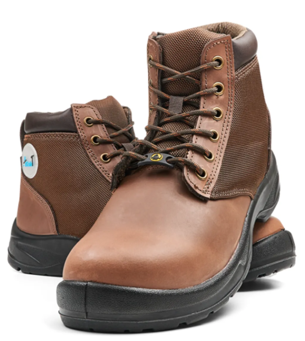 Safety Footwear Supplier Singapore | Ace Safety